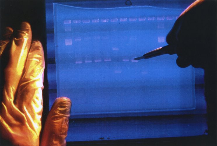 Courts aren’t ready to confront DNA theft | News, Sports, Jobs - Daily ...